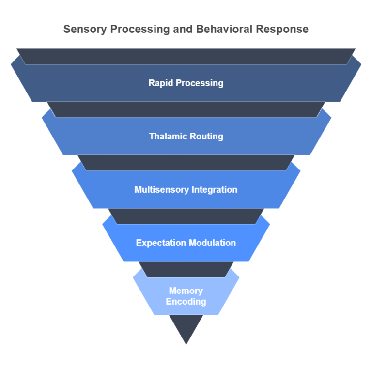 Sensory Testing Research