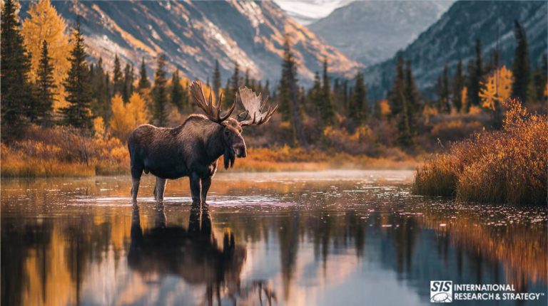 Market Research In Alaska: Industrial Intelligence Guide | SIS ...